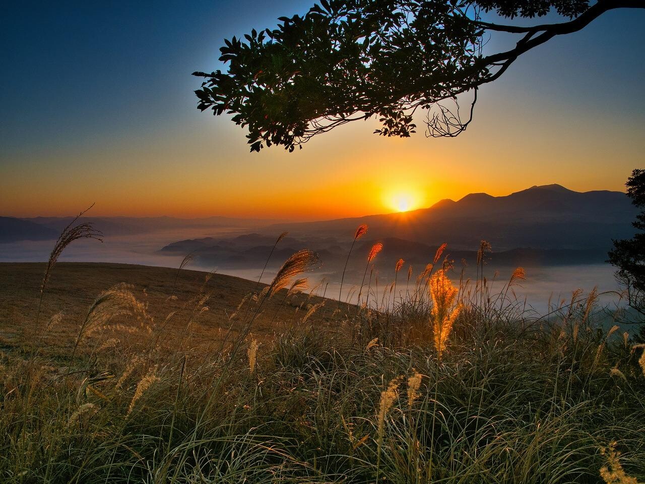 魚野・・29日 #写真と思い出投稿でOM... / sin358さんのモーメント | YAMAP / ヤマップ