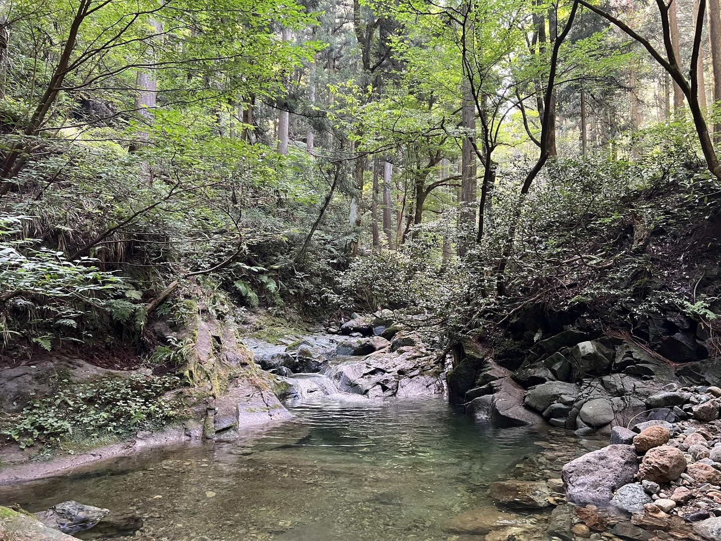 沢登り 大内谷川入渓 / yamakazuさんのモーメント | YAMAP / ヤマップ