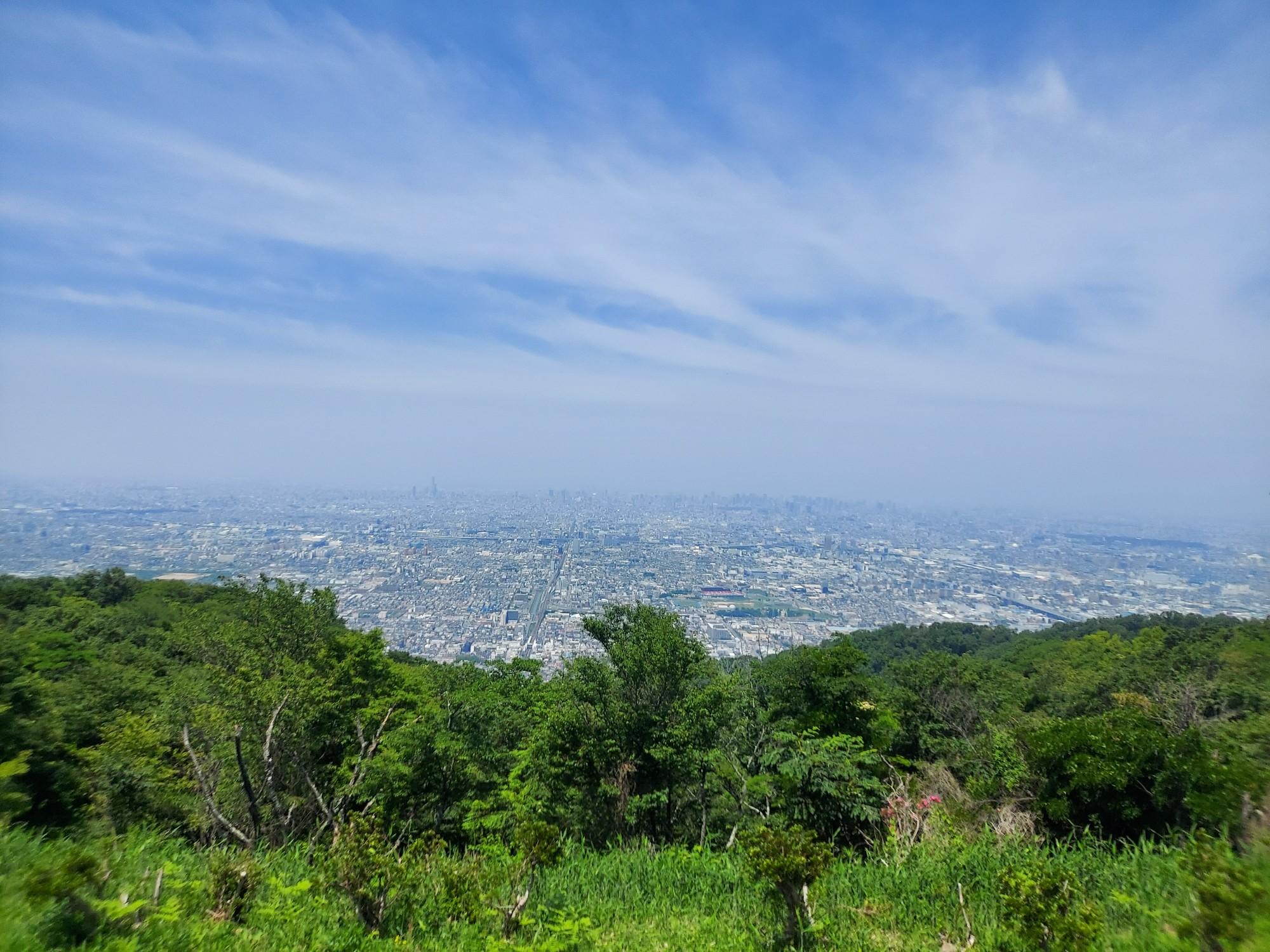BAMBI100のコース🦌 / ree-koさんの生駒山・神津嶽・大原山の活動データ | YAMAP / ヤマップ