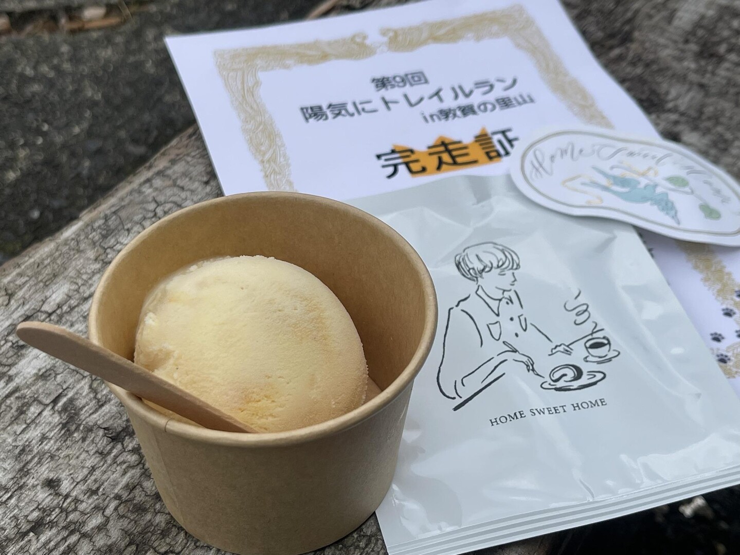 天筒山10回目💚5年ぶりの陽気にトレランバージョン🎶 / やっちぃさんの天筒山・中池見湿地の活動データ | YAMAP / ヤマップ