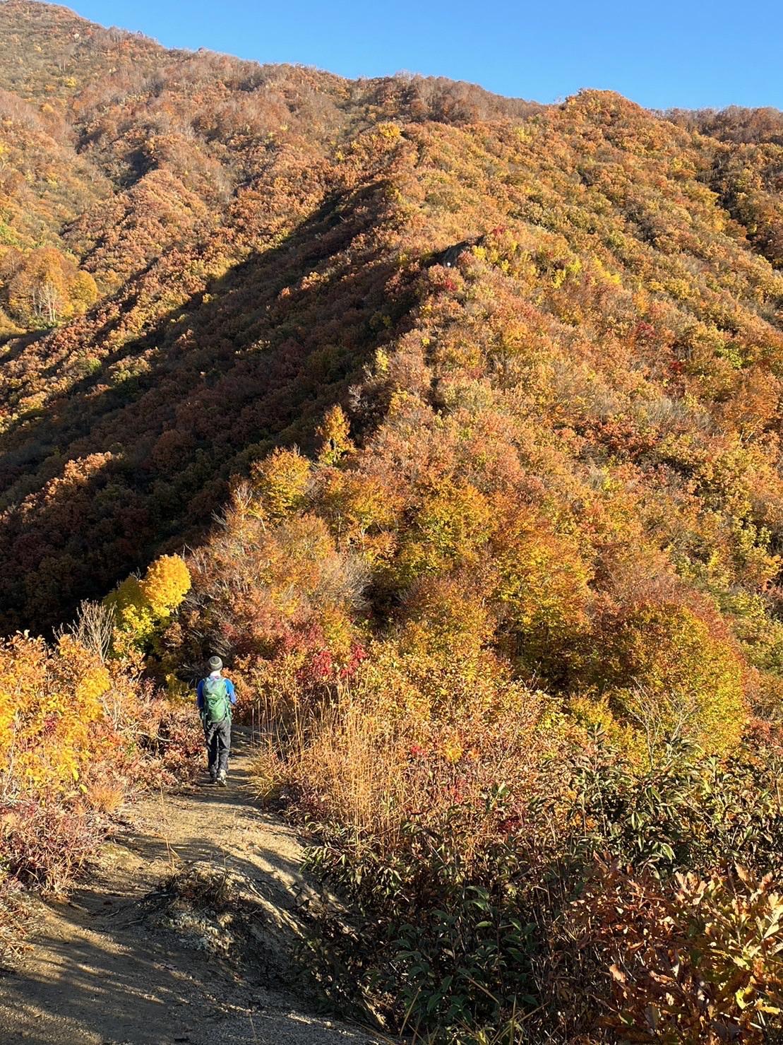 唐松山 稜線あるきで展望堪能 / mtakoさんの守門岳・大岳・網張山の活動データ | YAMAP / ヤマップ