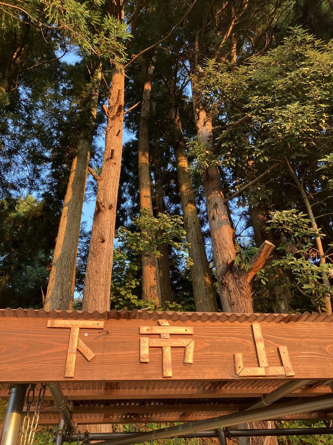 下市山 / pongoさんの下市山の活動データ | YAMAP / ヤマップ