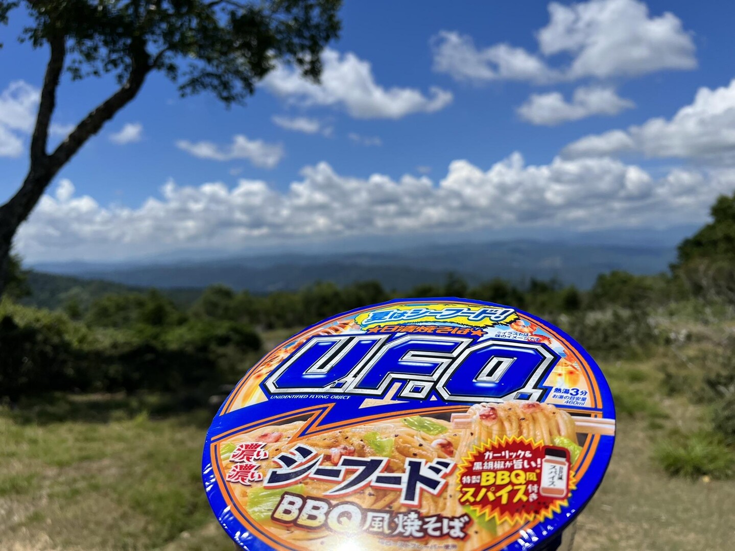 UFO🛸伝説⁉️位山⛰ / 香戸♥︎kouko♥︎さんの川上岳・位山・船山（飛騨富士）の活動データ | YAMAP / ヤマップ