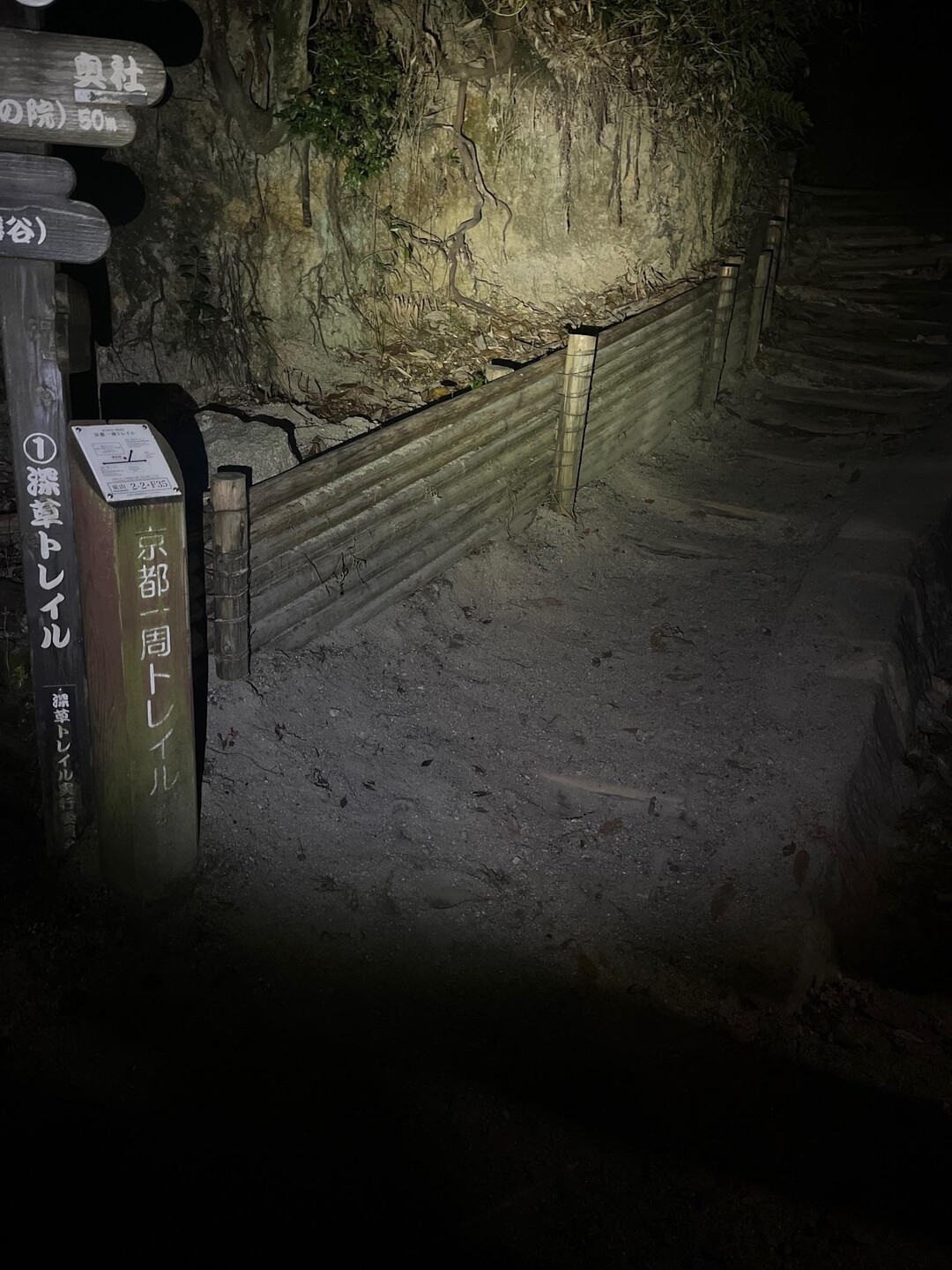 nekodakeさんの投稿したフィールドメモ | YAMAP / ヤマップ