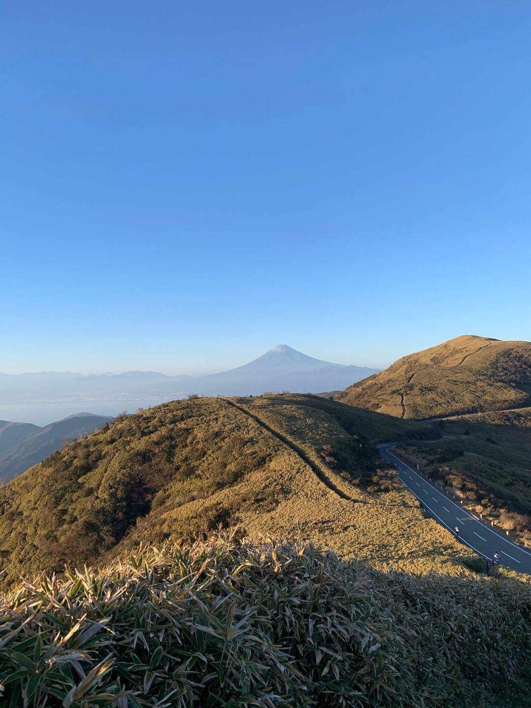 ITJ2023 無事完走 とPB更新！ / Goriさんのランニングの活動データ | YAMAP / ヤマップ