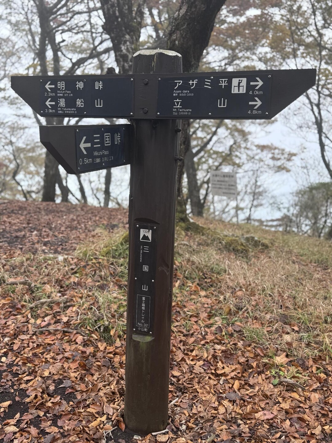 富士箱根トレイル「春夏」 / syu8_PPさんの三国山・大洞山・不老山の活動データ | YAMAP / ヤマップ