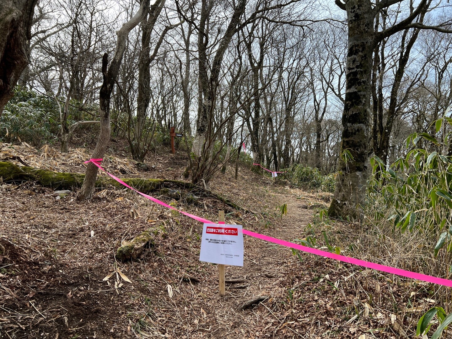 NALUさんの投稿したフィールドメモ | YAMAP / ヤマップ