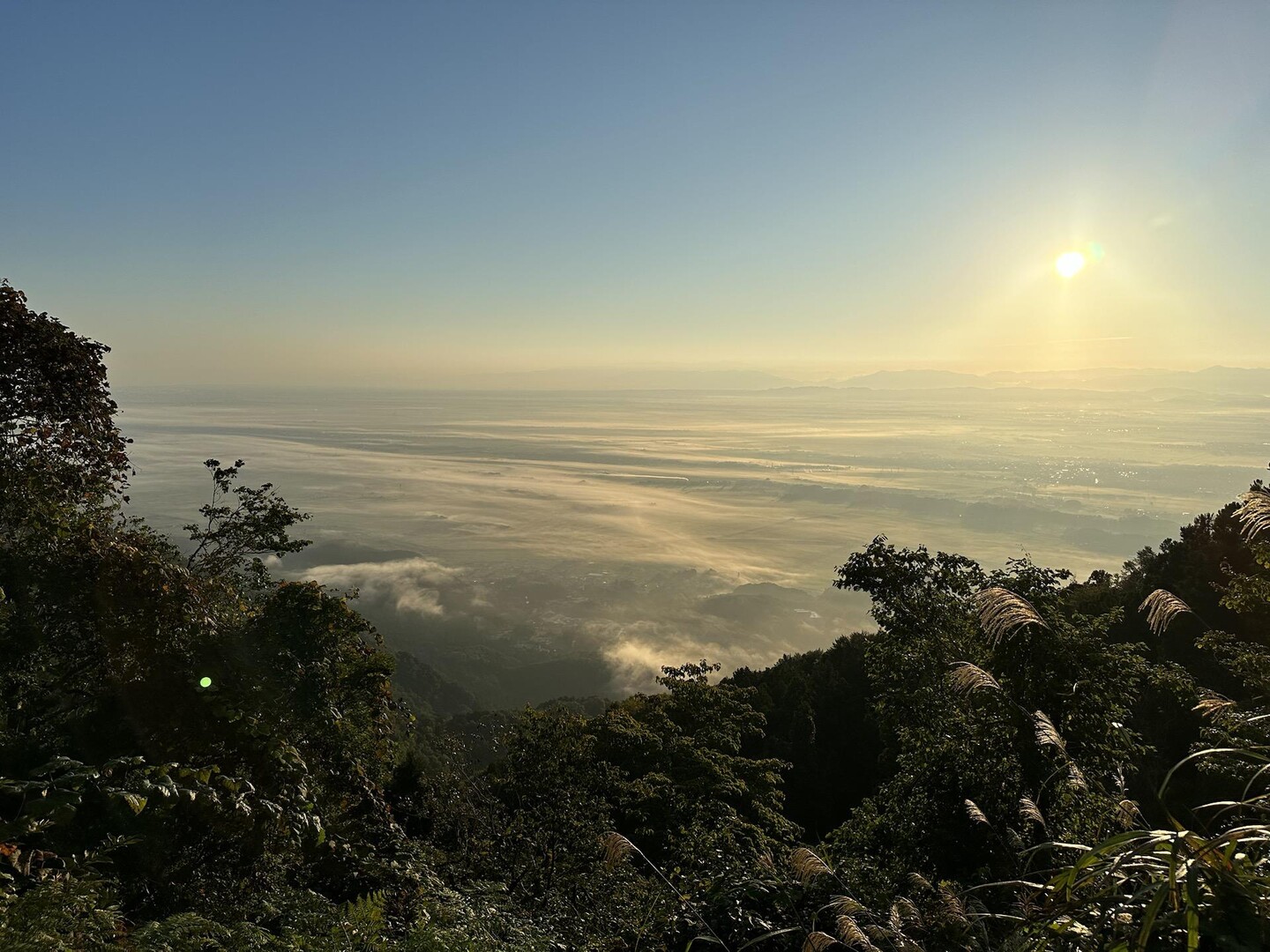 弥彦山・多宝山 / moda -suさんの弥彦山・多宝山・雨乞山の活動データ | YAMAP / ヤマップ