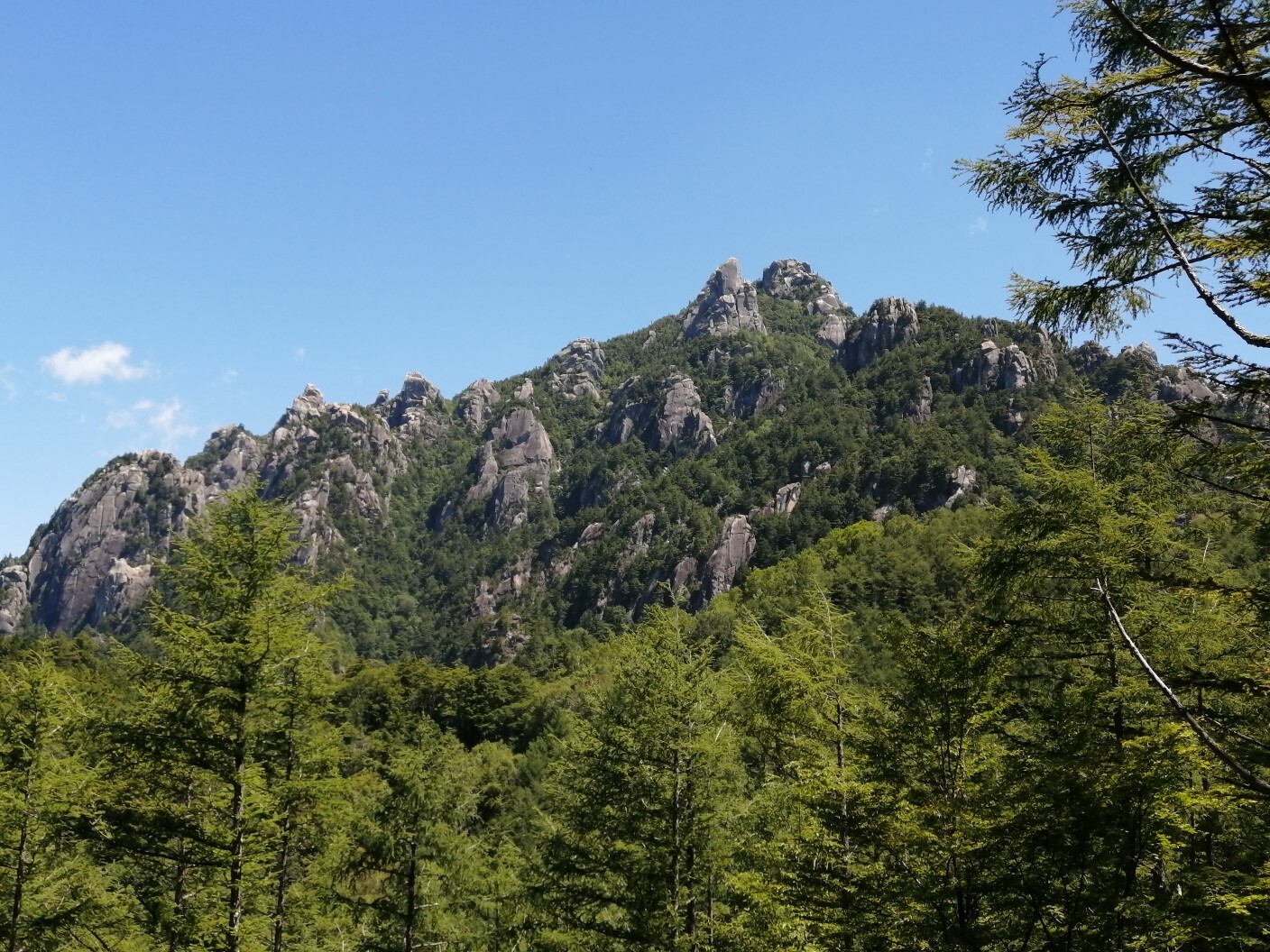 昨日は瑞牆山に行ってきました！ 何故かY... / aya-koさんのモーメント | YAMAP / ヤマップ