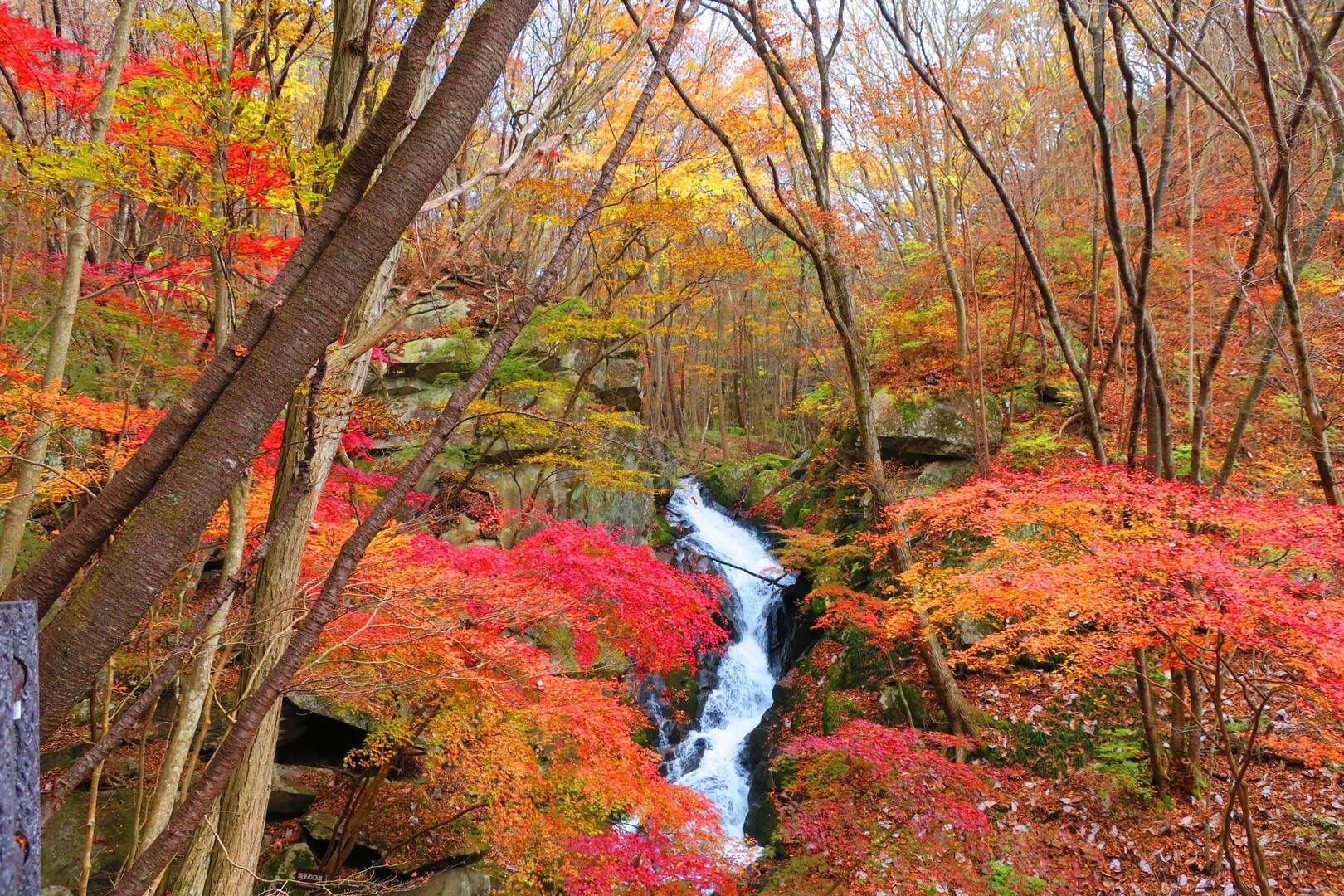 滝川渓谷-2024-11-23 / kumasakiさんの滝川渓谷の活動データ | YAMAP / ヤマップ
