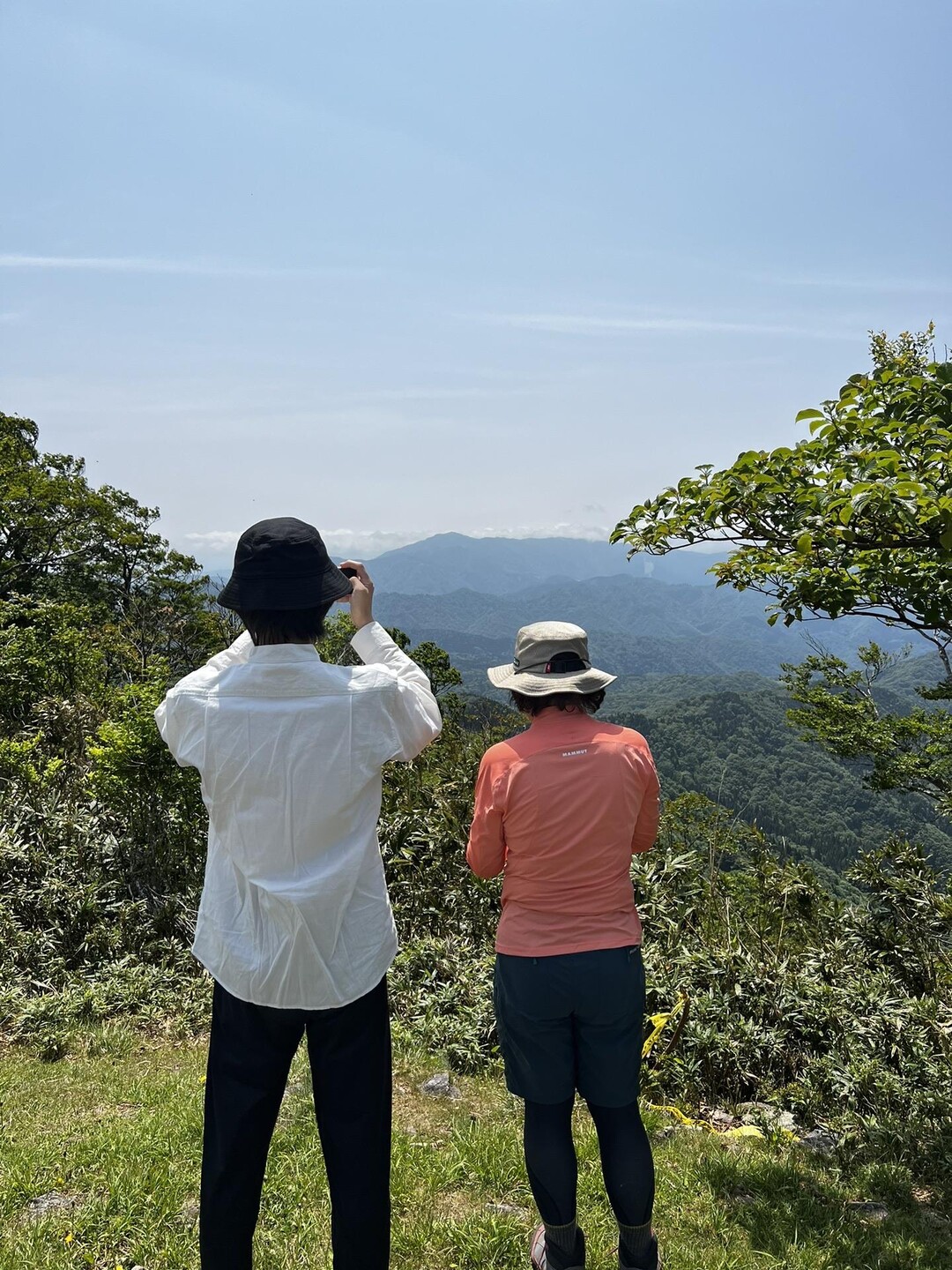 初夏の「扇ノ山」、ブナ林を孫と一緒に歩く🎶 / kei.keiさんの扇ノ山の活動データ | YAMAP / ヤマップ