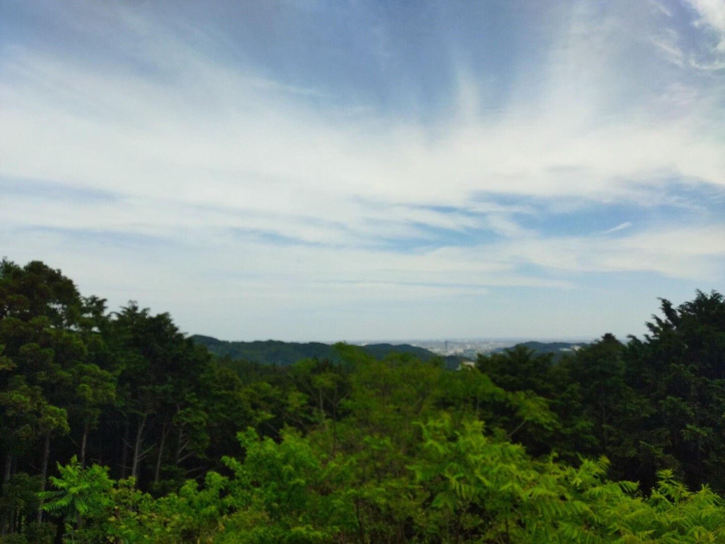 2023.05.03(水) 23:50 / てくてくやまさんさんのモーメント | YAMAP / ヤマップ