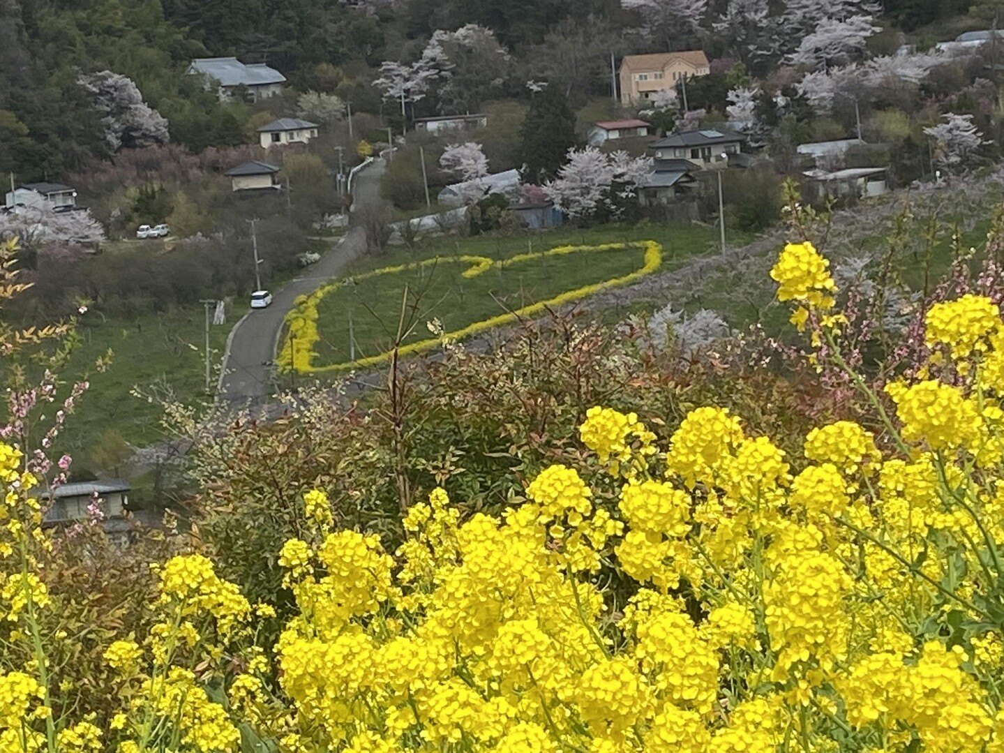 殿上山・経塚山・大平山・弁天山(椿山) / sanaviさんの十万劫山の活動データ | YAMAP / ヤマップ
