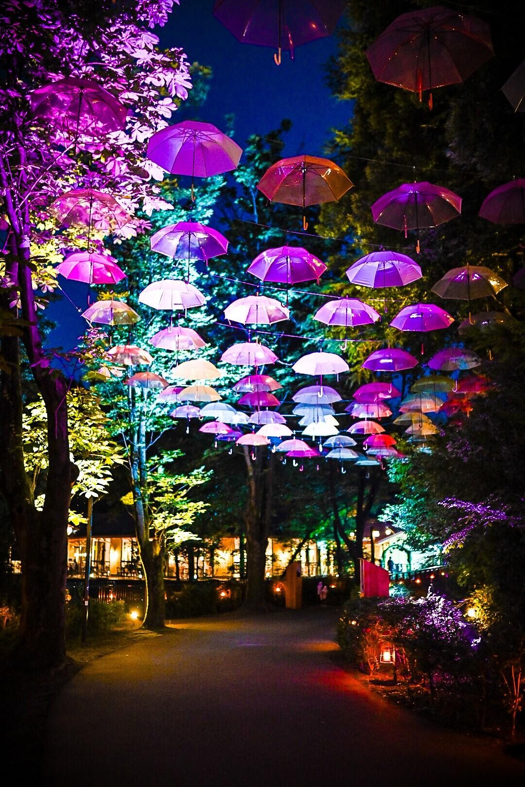 ムーミンバレーパーク / GIさんのモーメント | YAMAP / ヤマップ