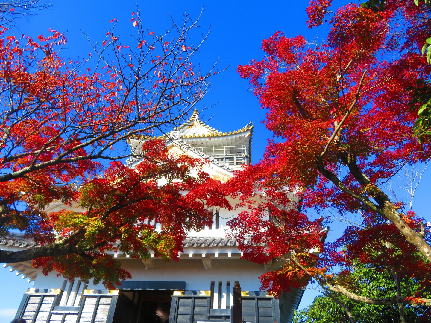 ウォーキング-2022-11-15 / ibizouさんのハイキングの活動データ | YAMAP / ヤマップ