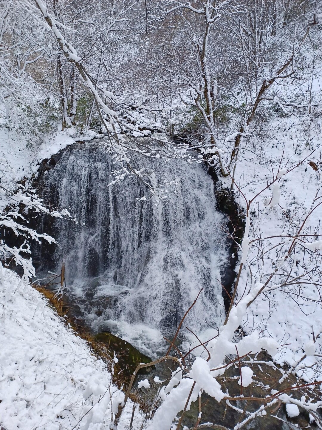 今年の初雪登山 / ひろさんのモーメント | YAMAP / ヤマップ