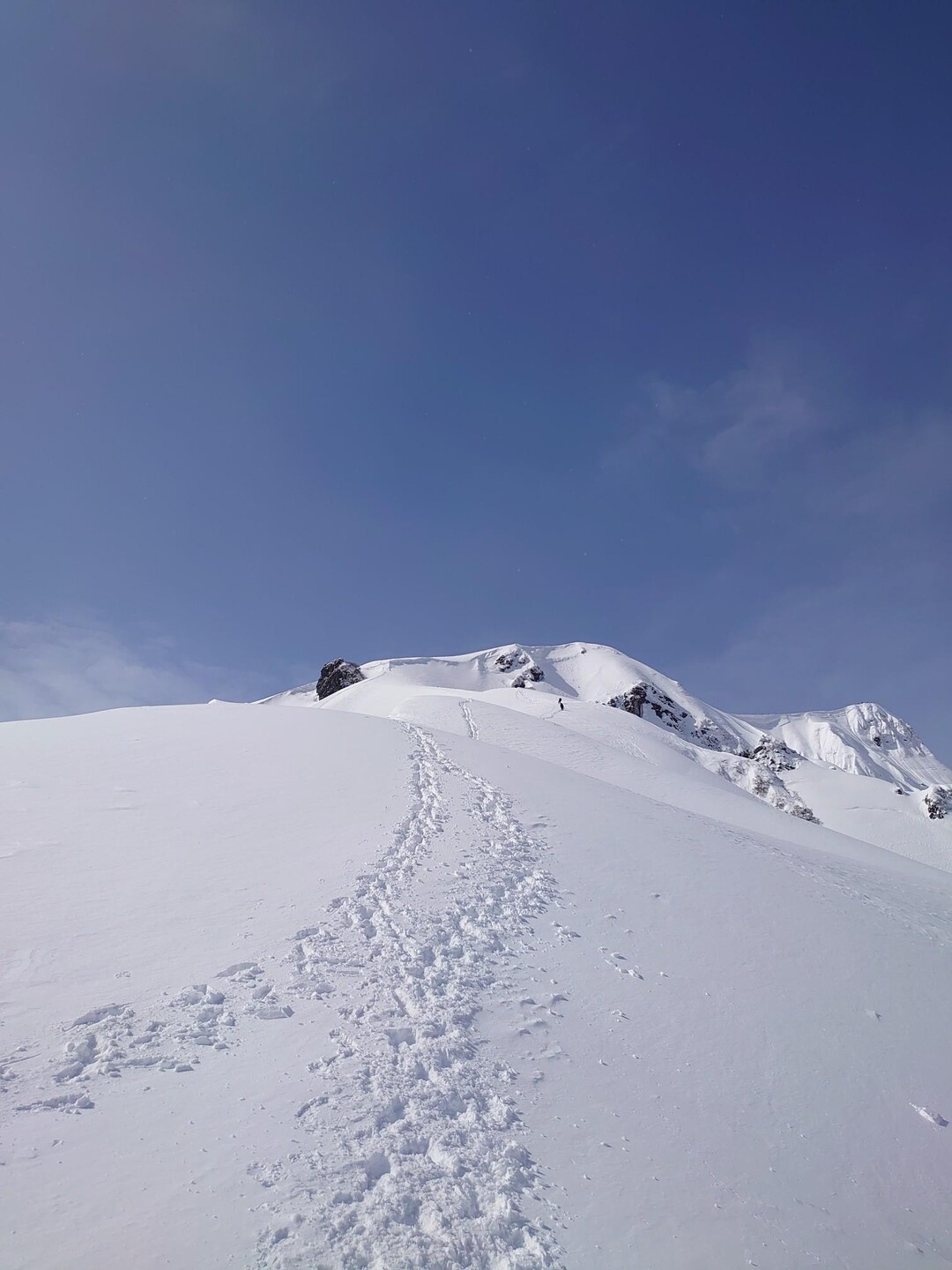 西黒尾根～谷川岳 / K1さんの谷川岳・七ツ小屋山・大源太山の活動データ | YAMAP / ヤマップ