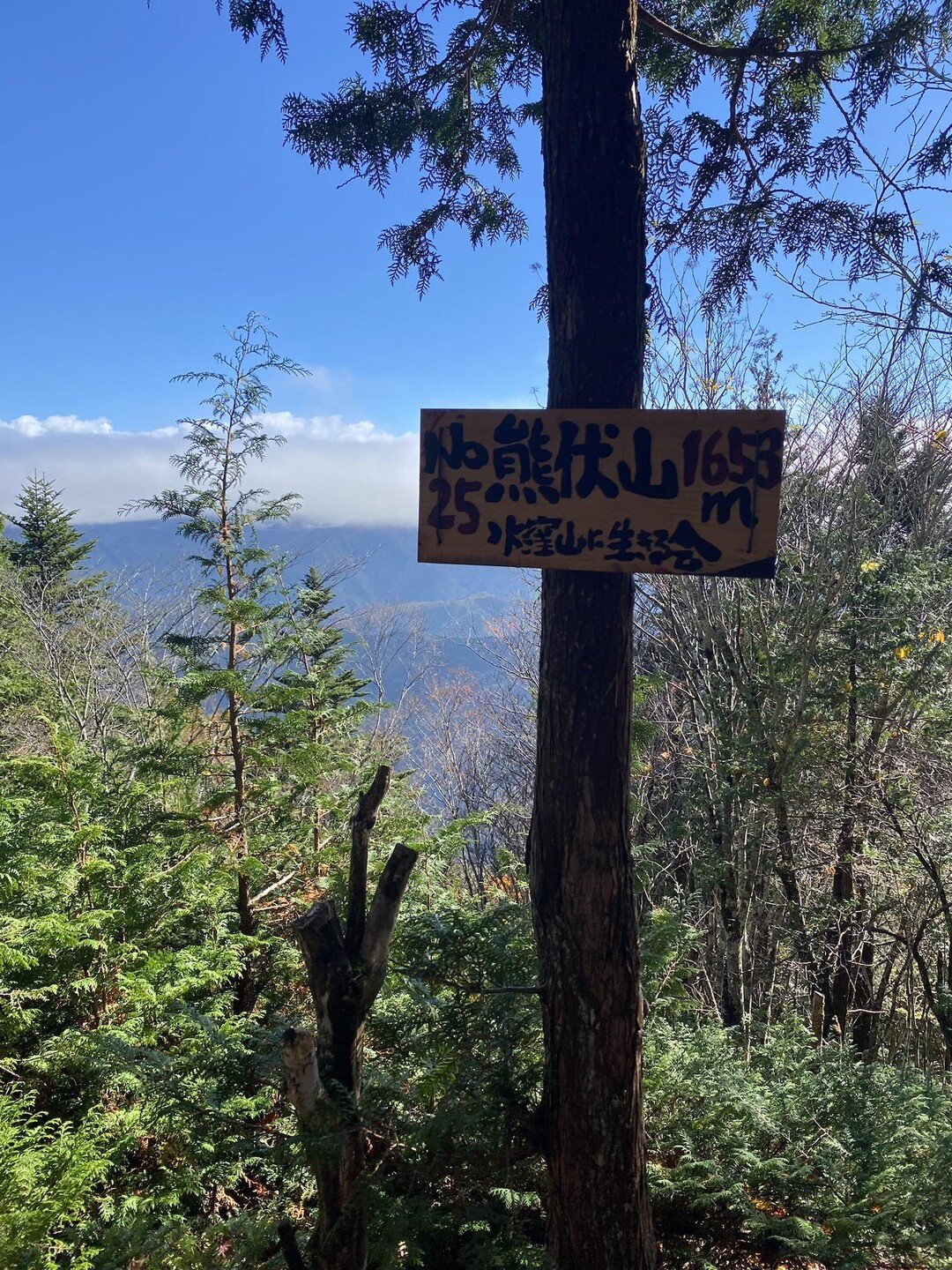 青崩の頭・前熊伏山・熊伏山 / snowさんの熊伏山・観音山の活動データ | YAMAP / ヤマップ