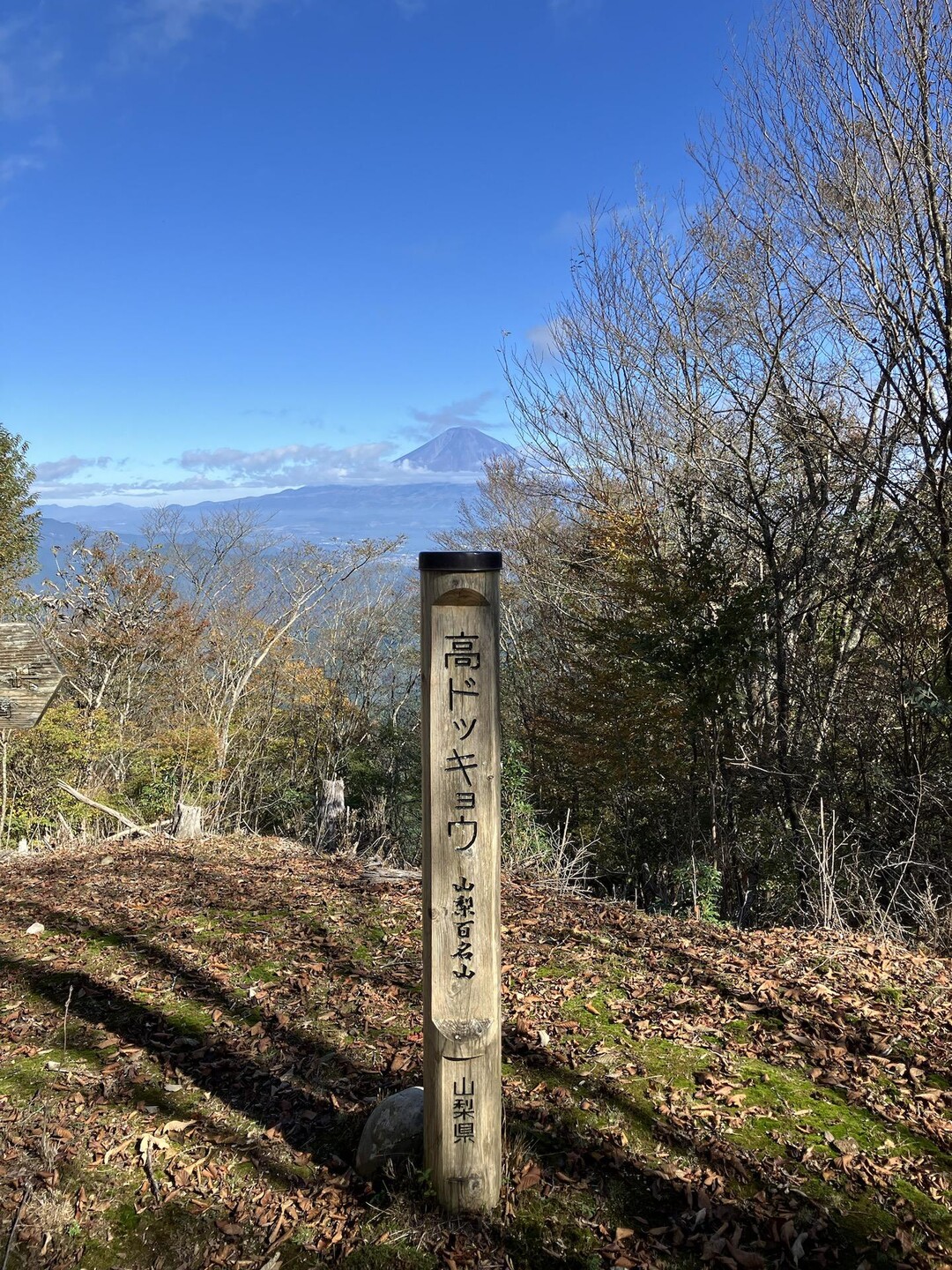 山梨百名山 高ドッキョウ / ELLYさんの青笹山の活動データ | YAMAP / ヤマップ