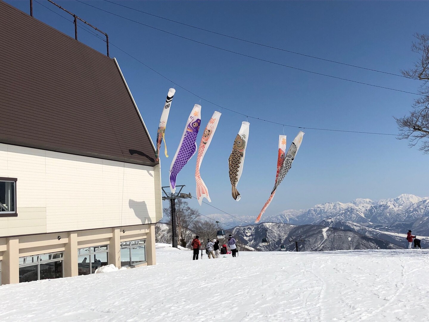 田代&かぐらエリア スノスケ-2023-03-21 / 山pさんのその他の活動データ | YAMAP / ヤマップ