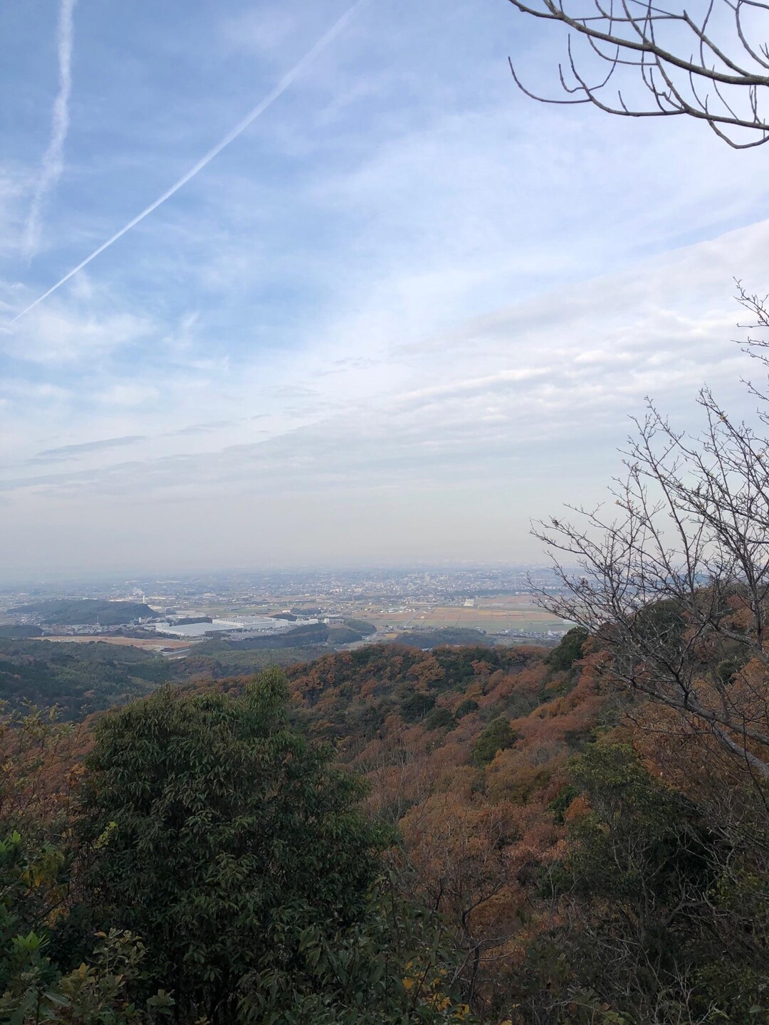 茶臼山（いつもの周回） / Chayaさんの茶臼山・万灯山の活動データ | YAMAP / ヤマップ