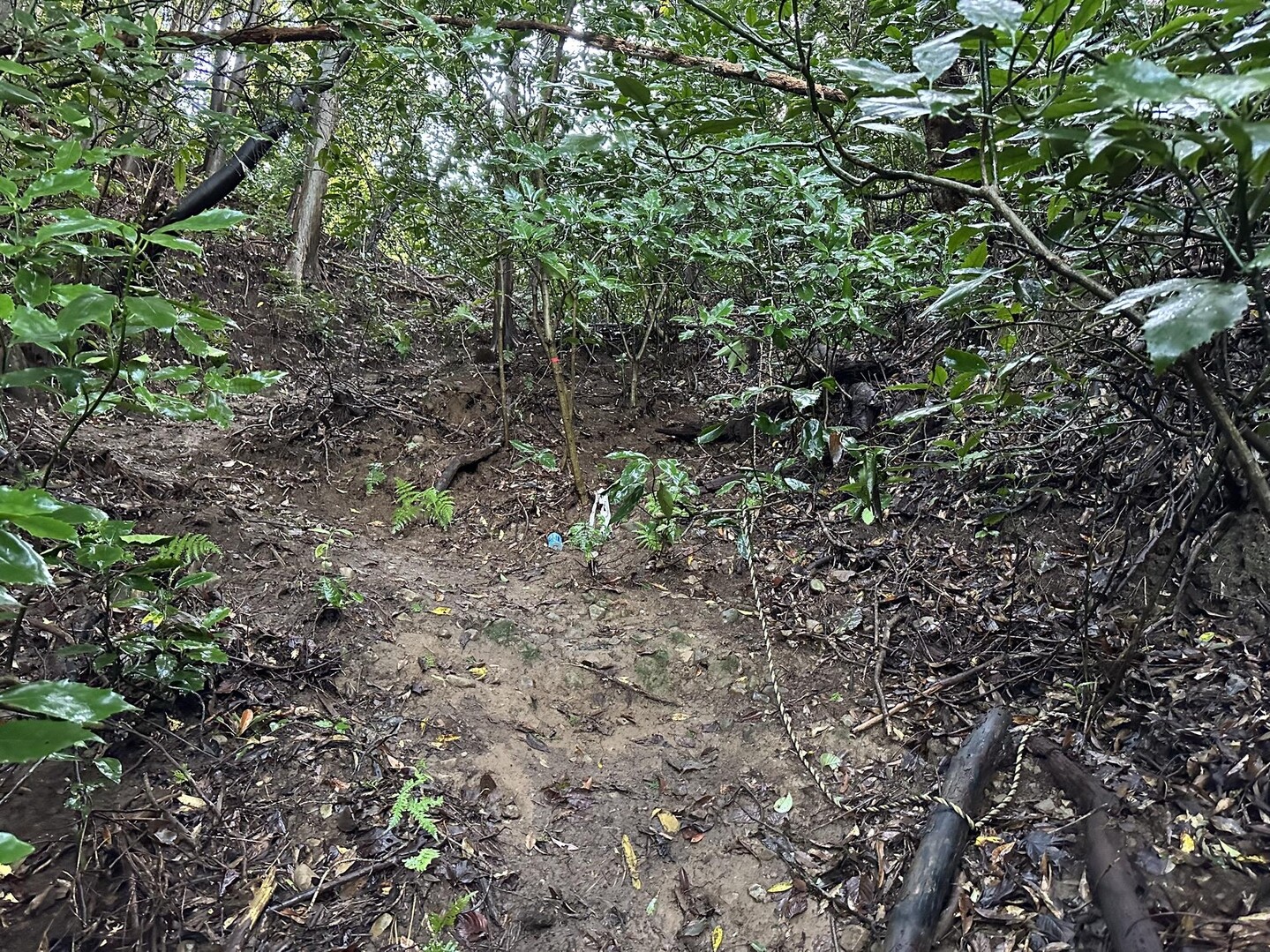 keijuさんの投稿したフィールドメモ | YAMAP / ヤマップ