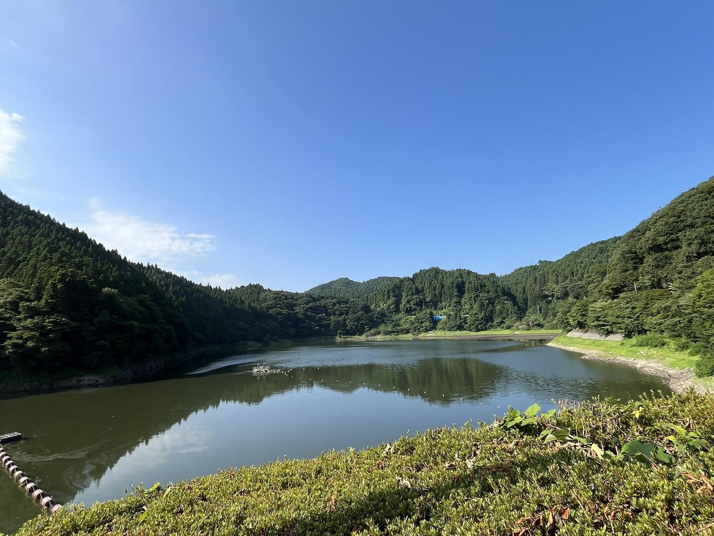 猛暑の中山へ行く、馬鹿😅 少しでも動き... / カメだよ1960さんのモーメント | YAMAP / ヤマップ