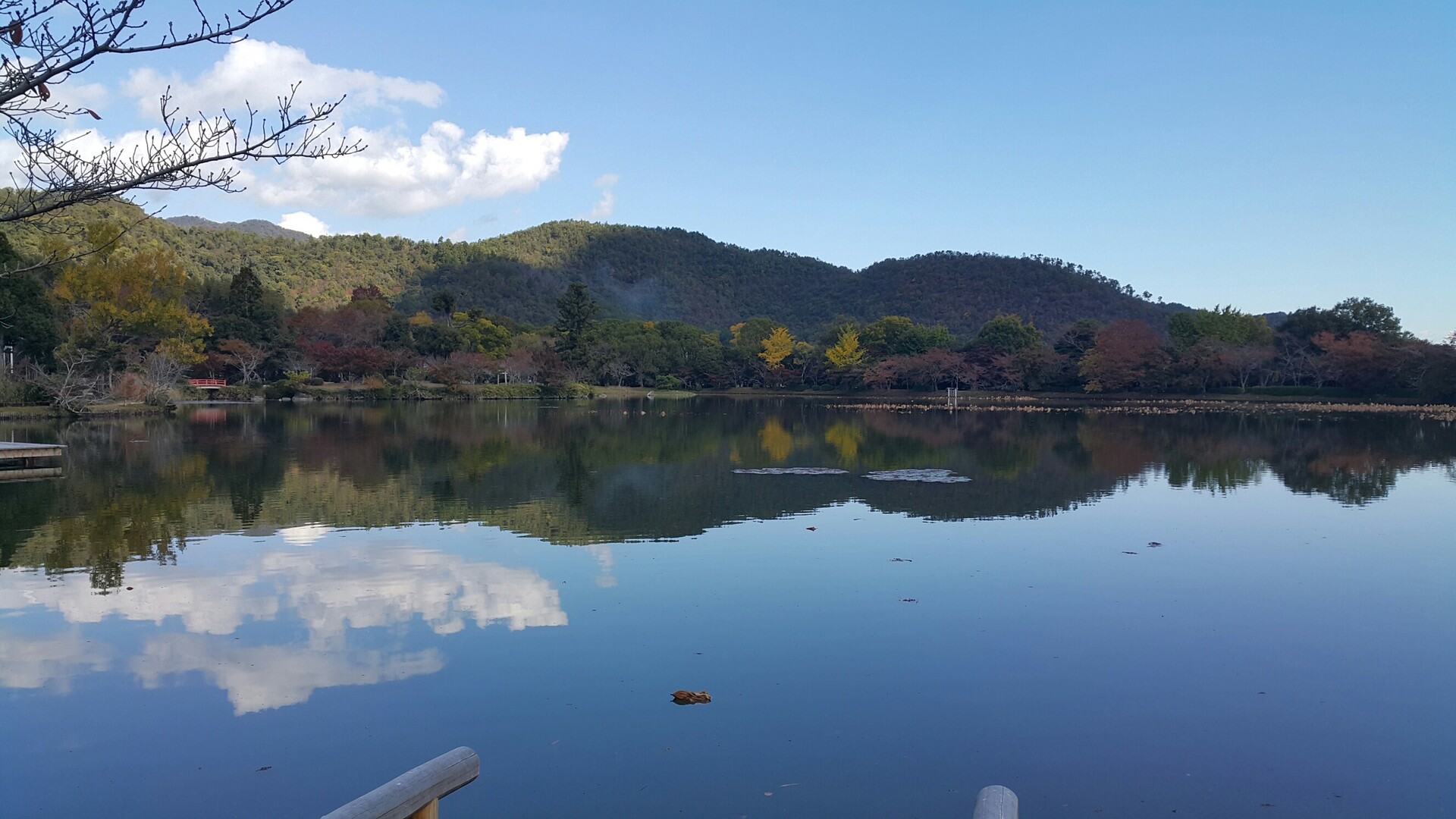 空海の道。大覚寺～平岡八幡宮～高雄～酵素風呂 / petrusさんのウォーキングの活動データ | YAMAP / ヤマップ
