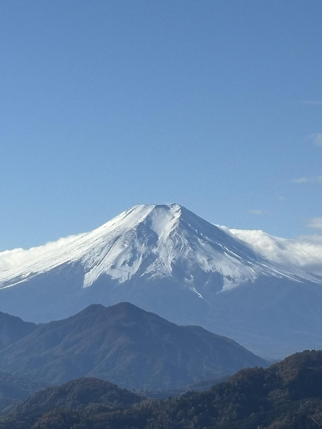 丸山・岩殿山・天神山・菊花山 / asuさんの雁ヶ腹摺山・岩殿山の活動データ | YAMAP / ヤマップ