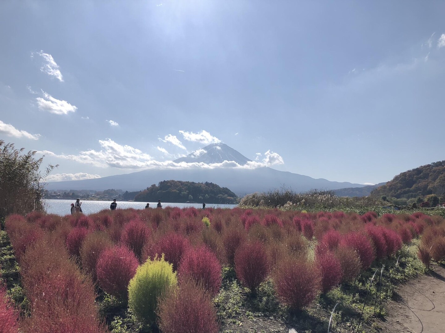 河口湖の紅葉回廊🍁までツーリング🏍 ... / Rさんのモーメント | YAMAP / ヤマップ