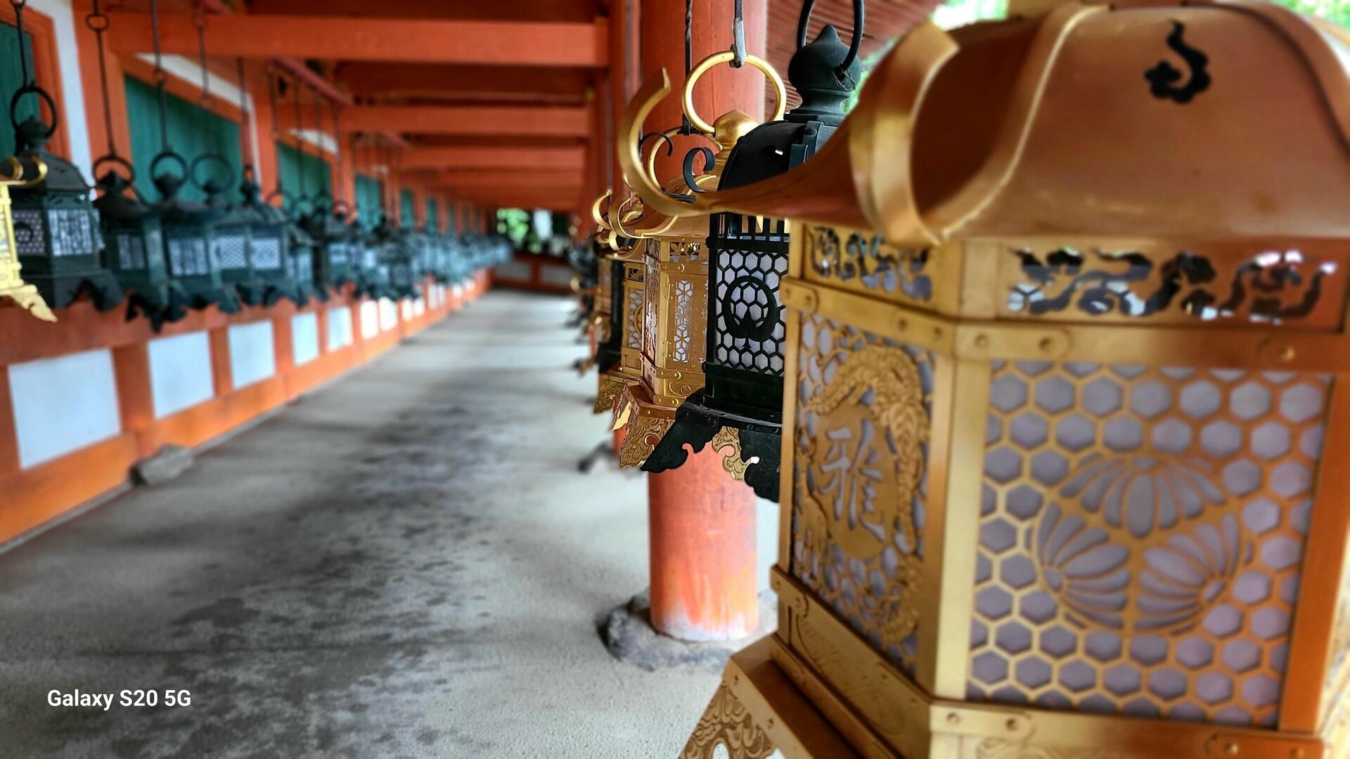 雨の春日大社 / tmmさんのウォーキングの活動日記 | YAMAP / ヤマップ