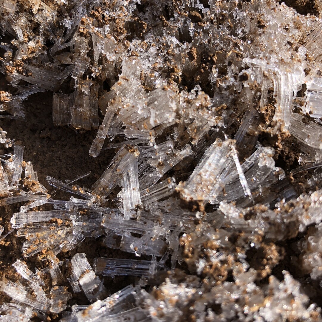 今朝は金比羅山で霜柱を見ることができまし... / Mimiさんのモーメント | YAMAP / ヤマップ