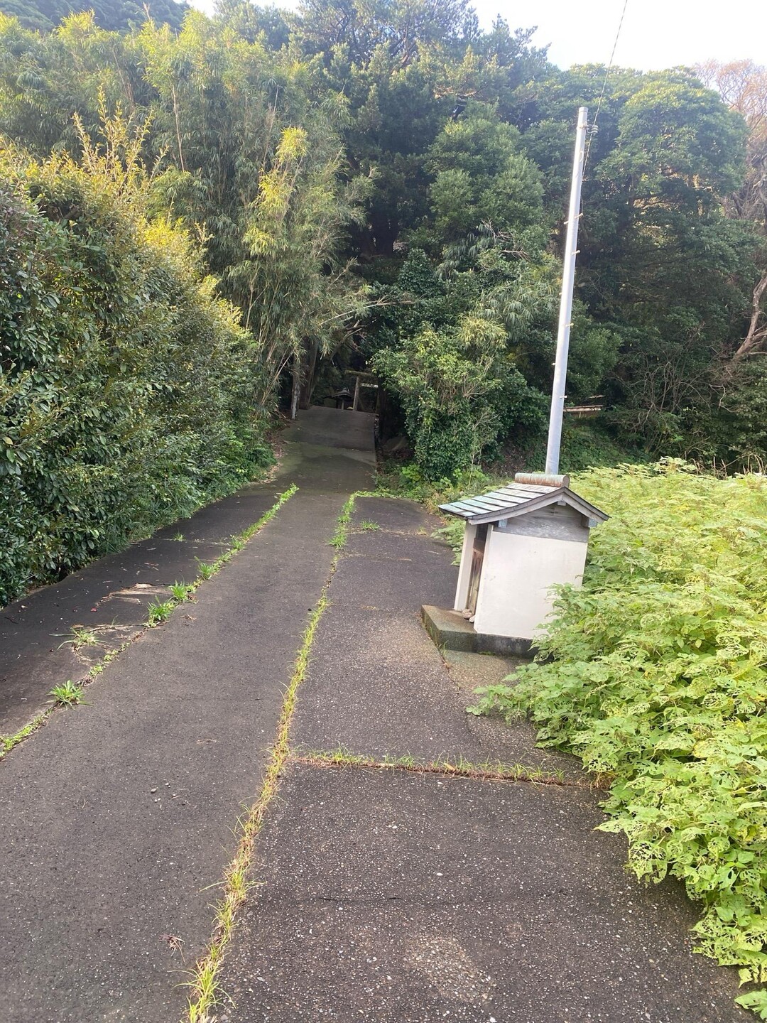 nachaさんの投稿したフィールドメモ | YAMAP / ヤマップ