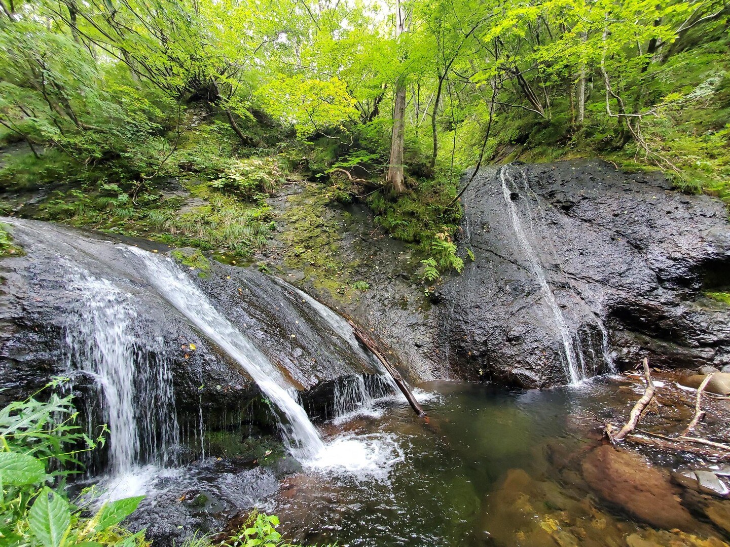 二口沢・南沢出合 / miiさんの沢登りの活動データ | YAMAP / ヤマップ