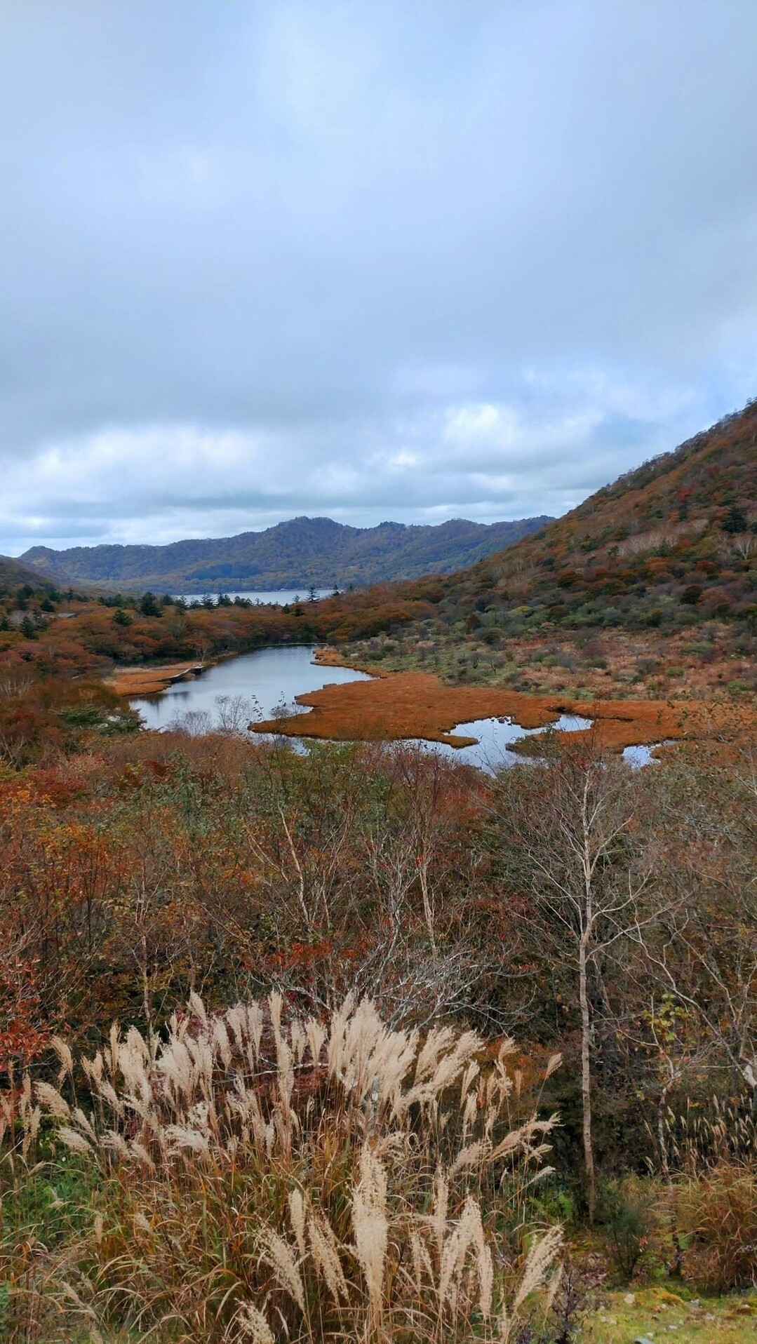 黒檜山・駒ヶ岳・長七郎山・北山 / y.zatoさんの赤城山・黒檜山・荒山の活動データ | YAMAP / ヤマップ
