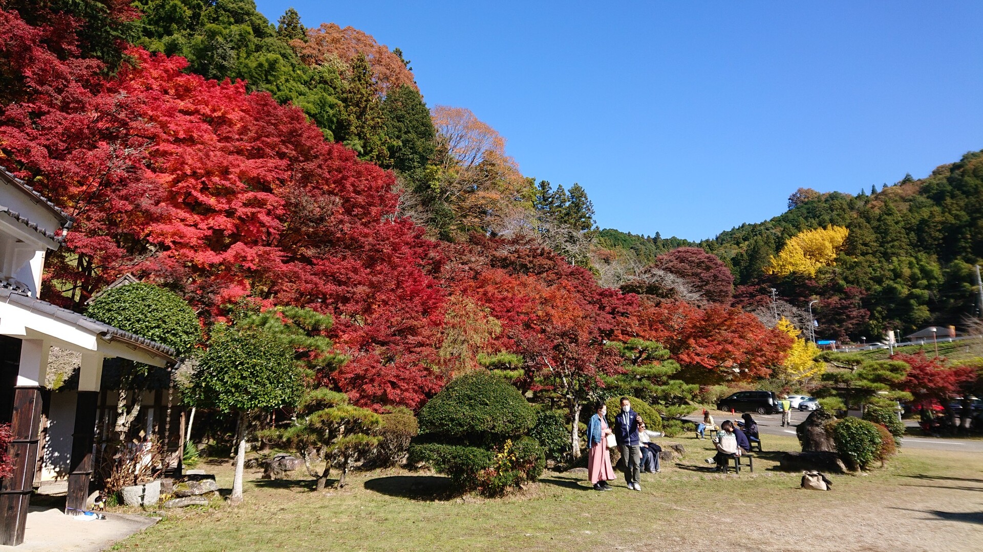 ウォーキング-2020-11-14 / TJさんのウォーキングの活動データ | YAMAP / ヤマップ