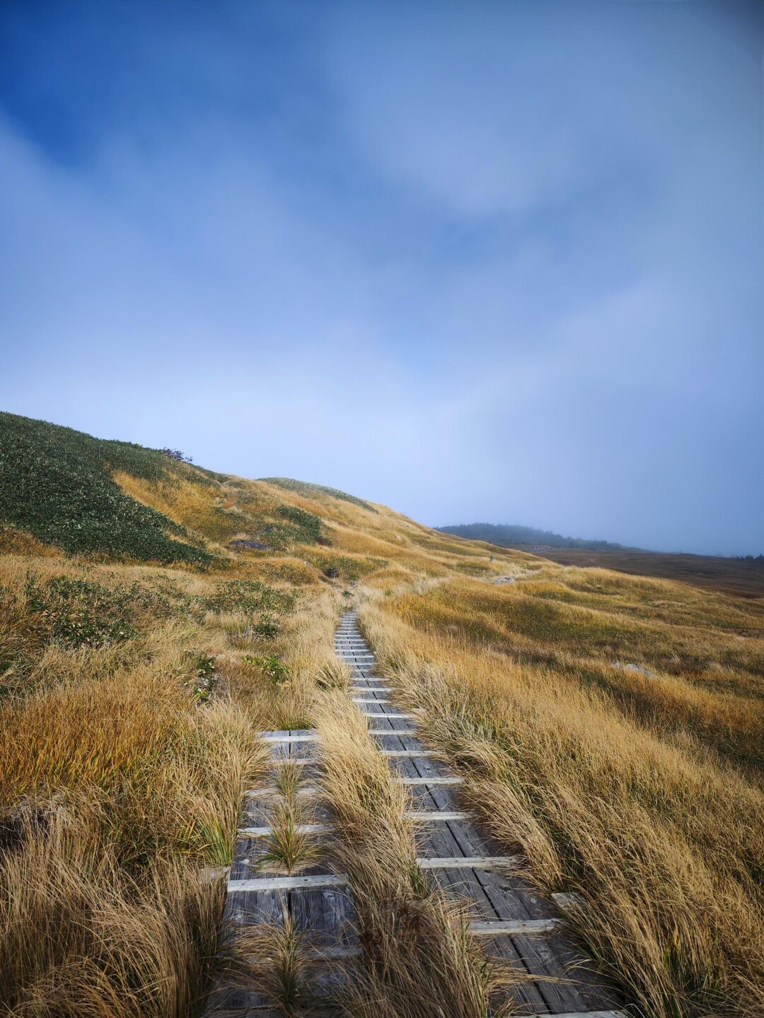 神楽ヶ峰・苗場山 / Chibanaさんの苗場山・赤倉山・佐武流山の活動データ | YAMAP / ヤマップ