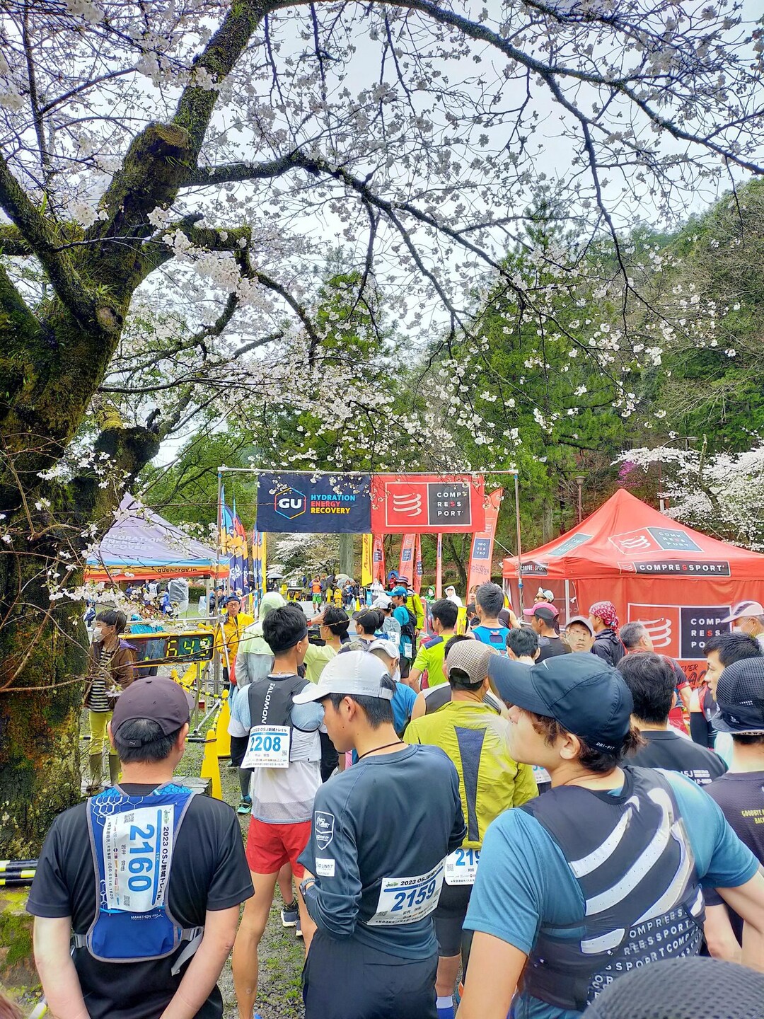 OSJ新城トレイル11k / ボブサップさんの宇連山・鳳来寺山・岩古谷山の活動データ | YAMAP / ヤマップ