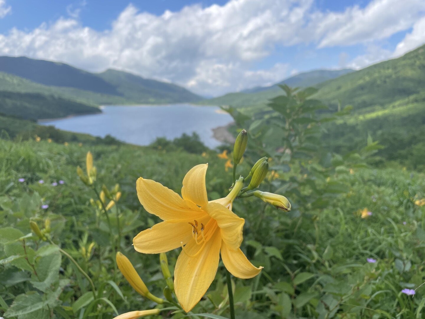 イカイワの頭・八間山 / pleng86さんの白砂山・堂岩山・八間山の活動日記 | YAMAP / ヤマップ