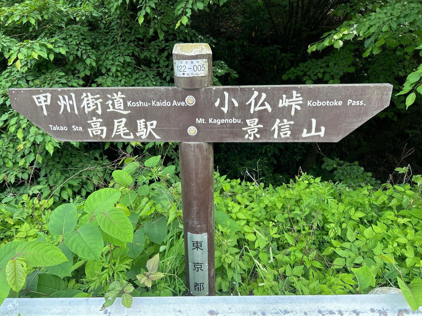 景信山・大久保山・478m圏峰 / りかさんの高尾山・陣馬山・景信山の活動データ | YAMAP / ヤマップ