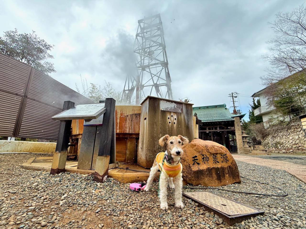 愛宕山 ♨️有馬温泉 / masa omoさんの六甲山・長峰山・摩耶山の活動データ | YAMAP / ヤマップ