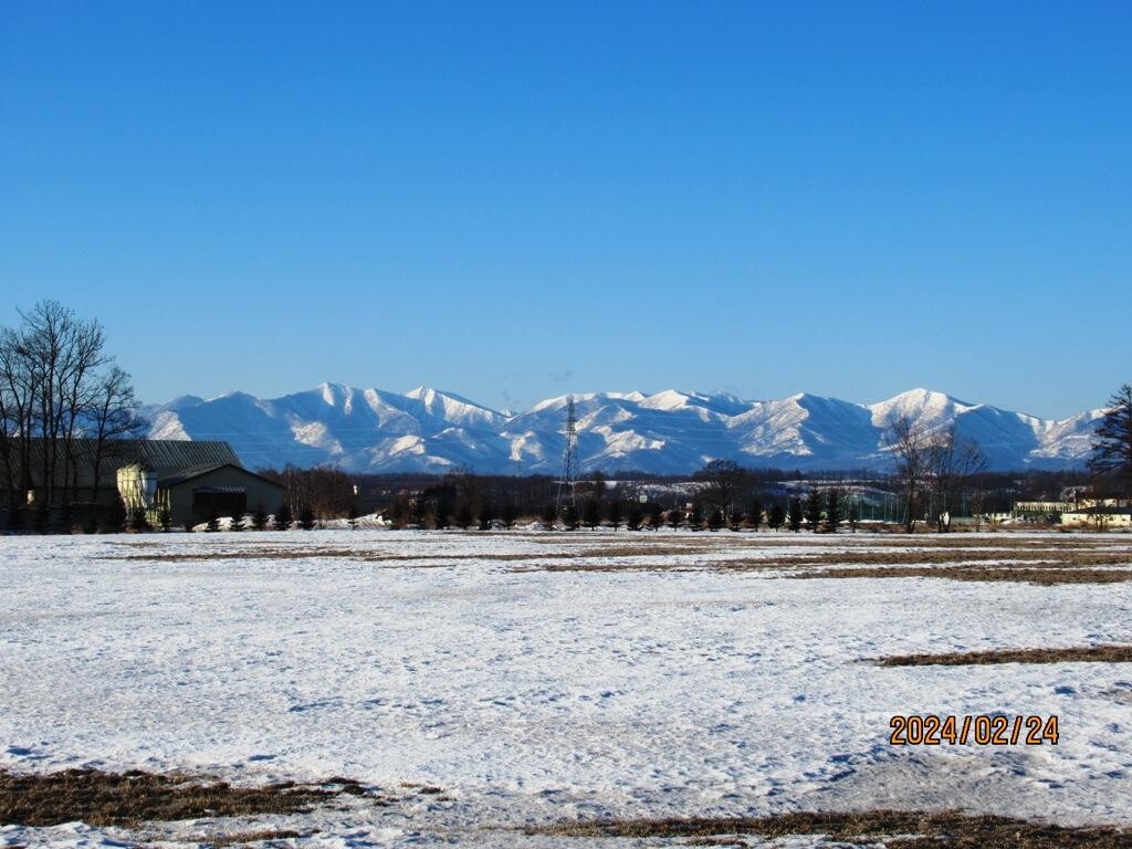 ランニング-2024-02-24 / miyaさんのランニングの活動データ | YAMAP / ヤマップ