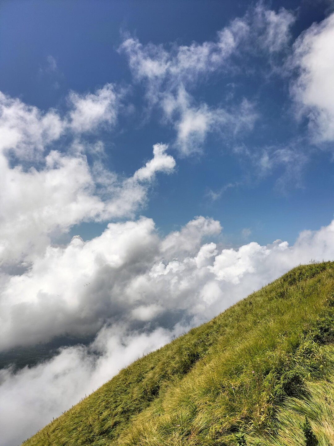 魂の琴線に触れまくる大山。 / DAIさんのモーメント | YAMAP / ヤマップ