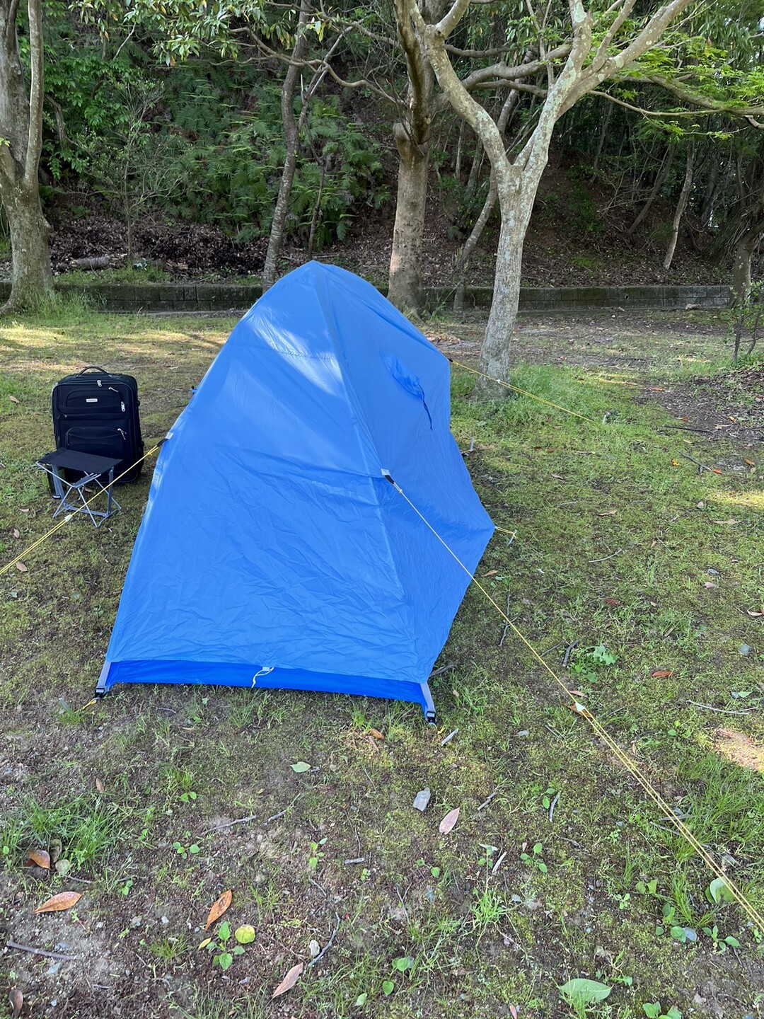 テント張り⛺️を確認したくて長谷ダム記念... / kaz@Tak2さんのモーメント | YAMAP / ヤマップ