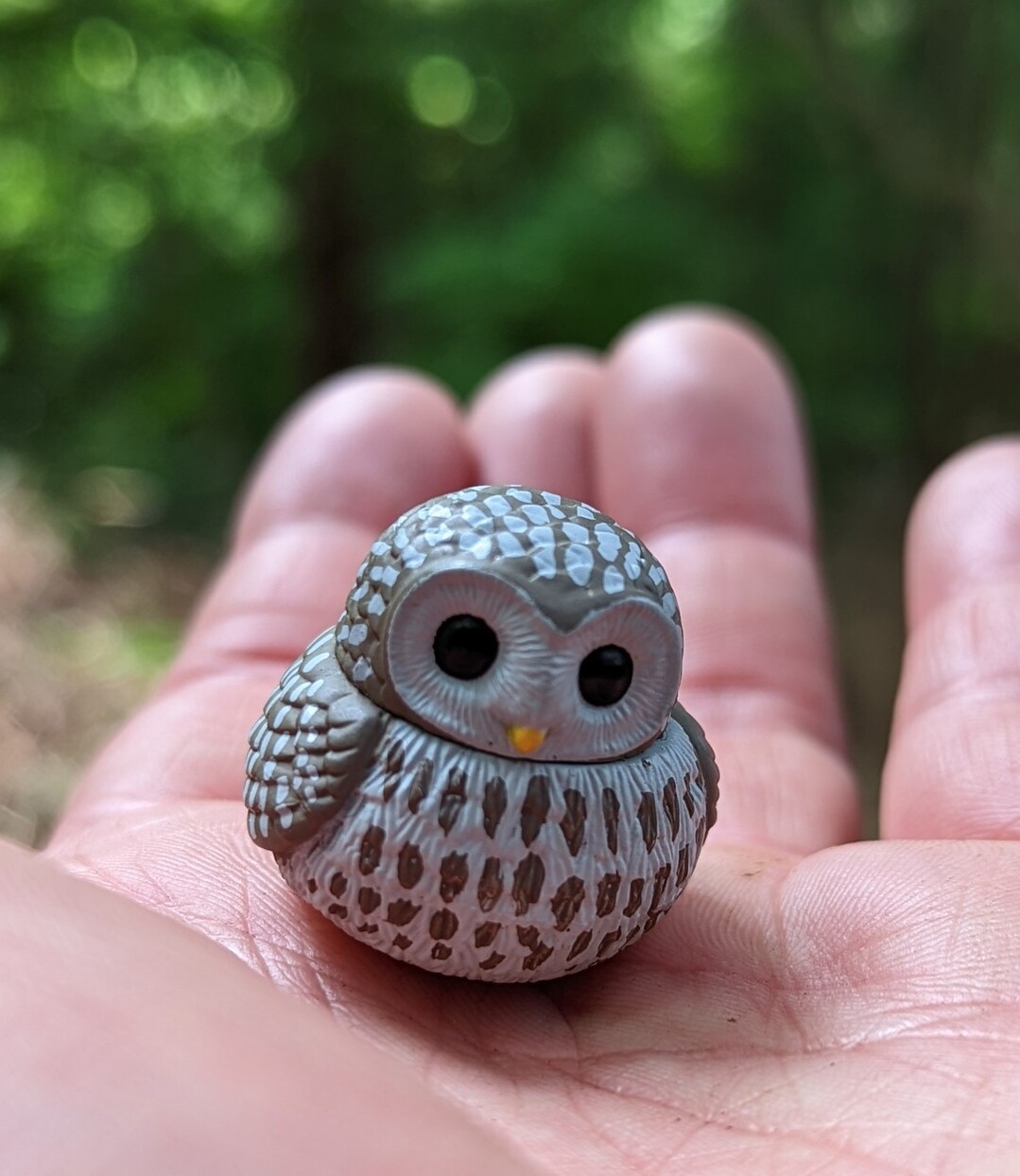 inoのページ | YAMAP / ヤマップ