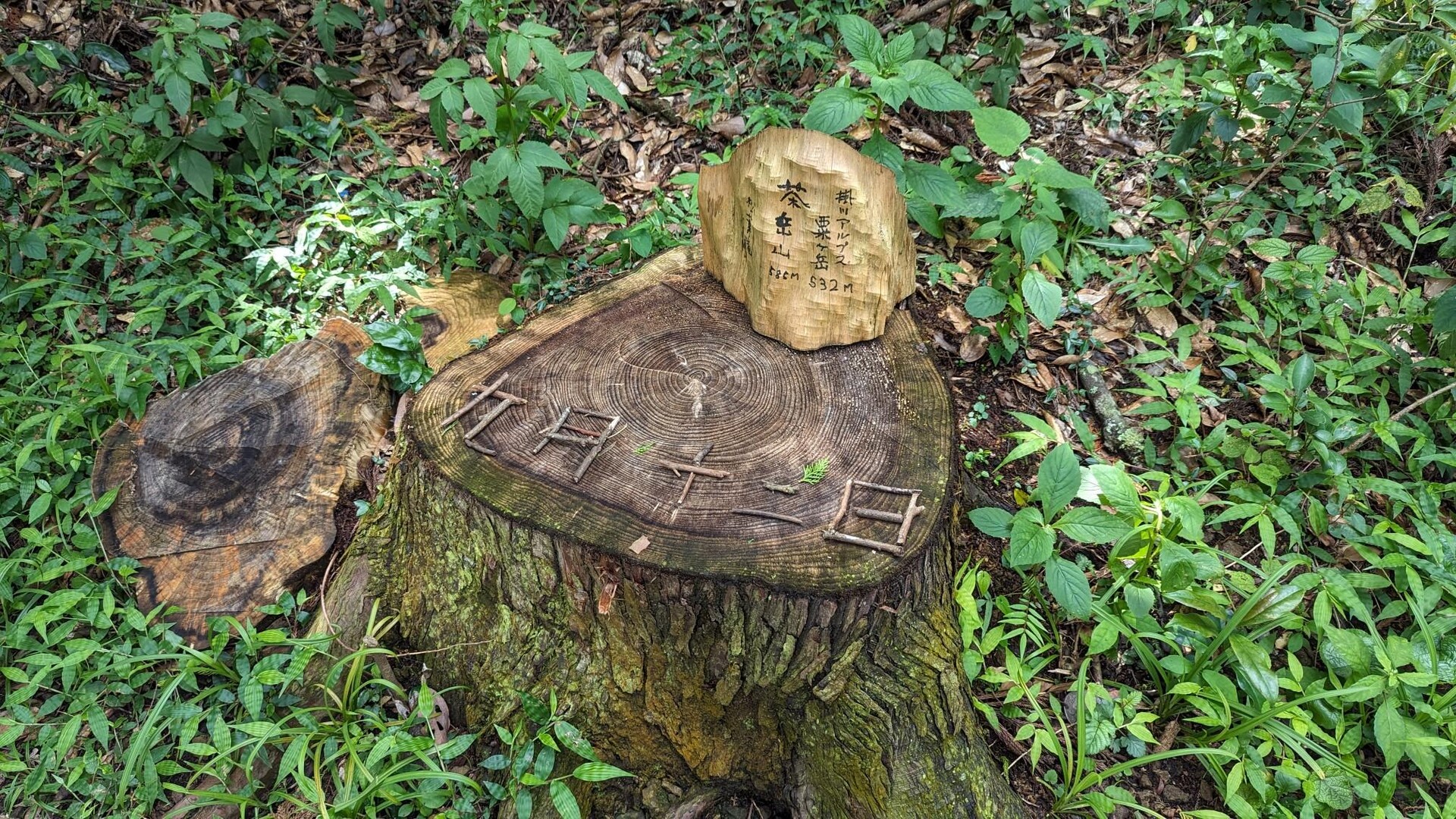 粟ヶ岳 / Bibbidi-bobbidi-booさんの粟ヶ岳の活動データ | YAMAP / ヤマップ