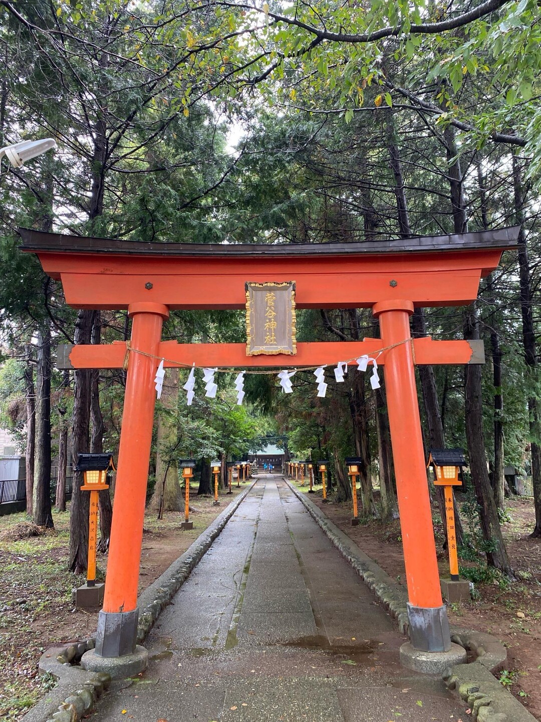 スリーデーマーチ1日目 / tkrさんの武蔵嵐山・大平山・仙元山の活動データ | YAMAP / ヤマップ