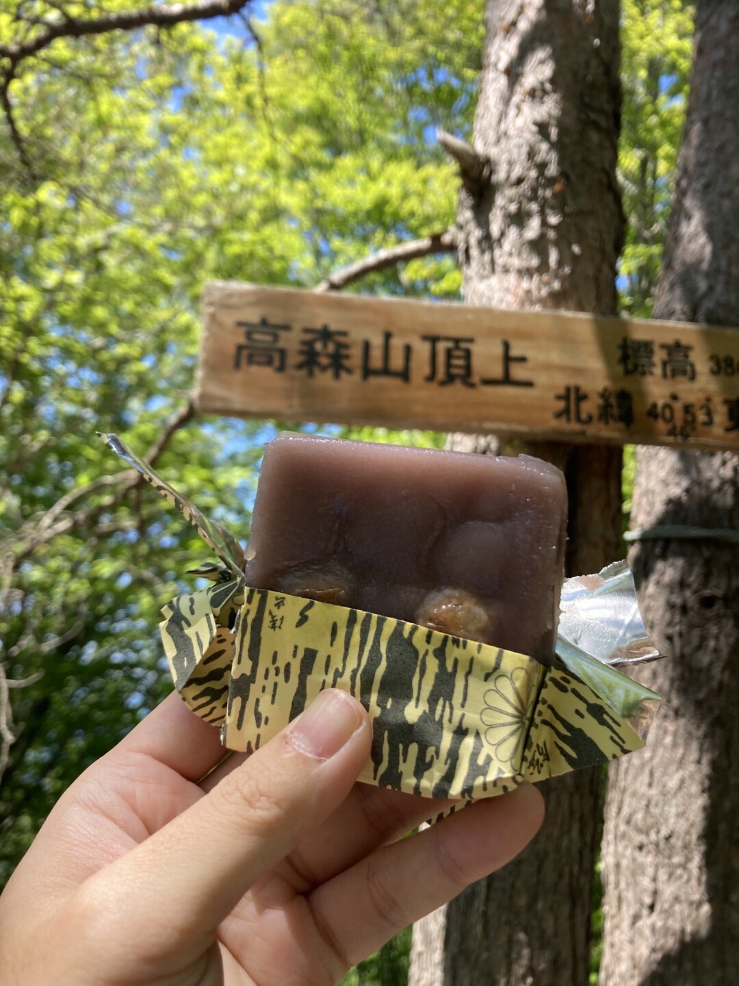 おやつは浅虫名物 久滋良餅 / ice_yamagishiさんのモーメント | YAMAP / ヤマップ