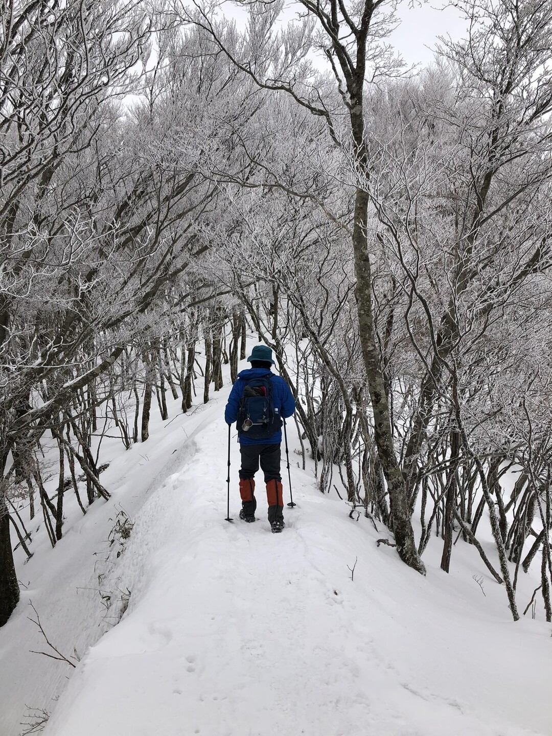国見山 / ta3netさんの国見山の活動データ | YAMAP / ヤマップ