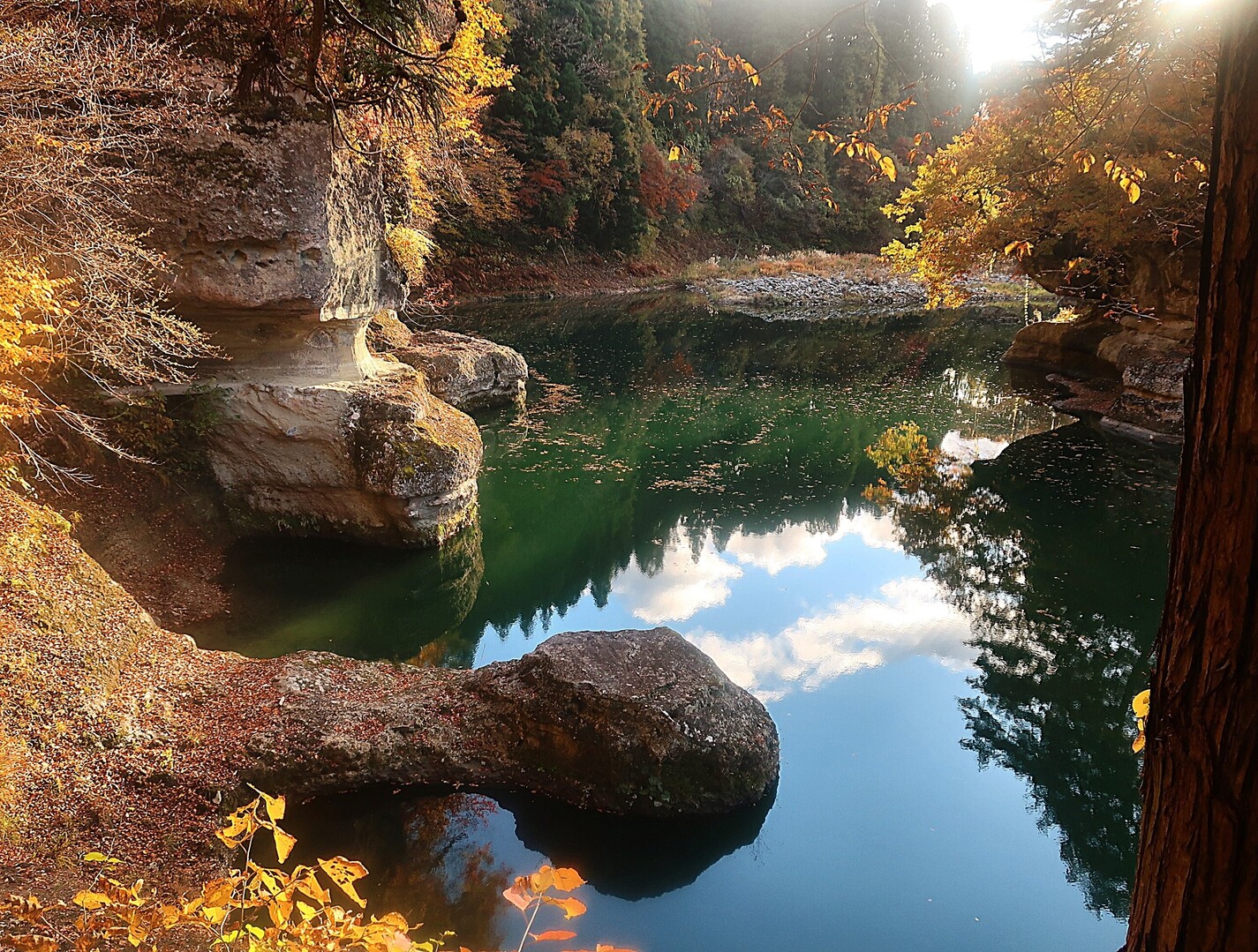 DOMOが、かなり無くなるのでモーメント... / たけやんさんのモーメント | YAMAP / ヤマップ